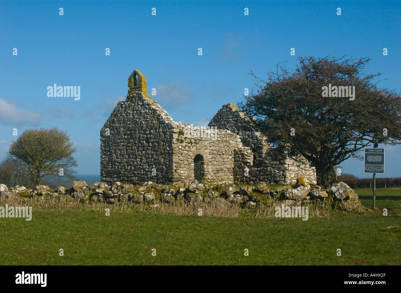 Ruins 12th century of Hen Capel Lligwy Old Lligwy Chapel Anglesey North ...