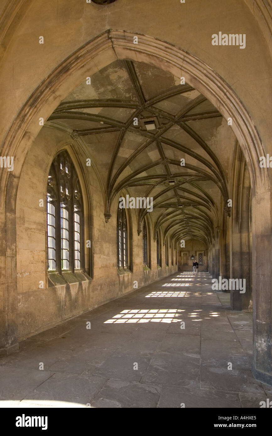 New court cloisters hi-res stock photography and images - Alamy