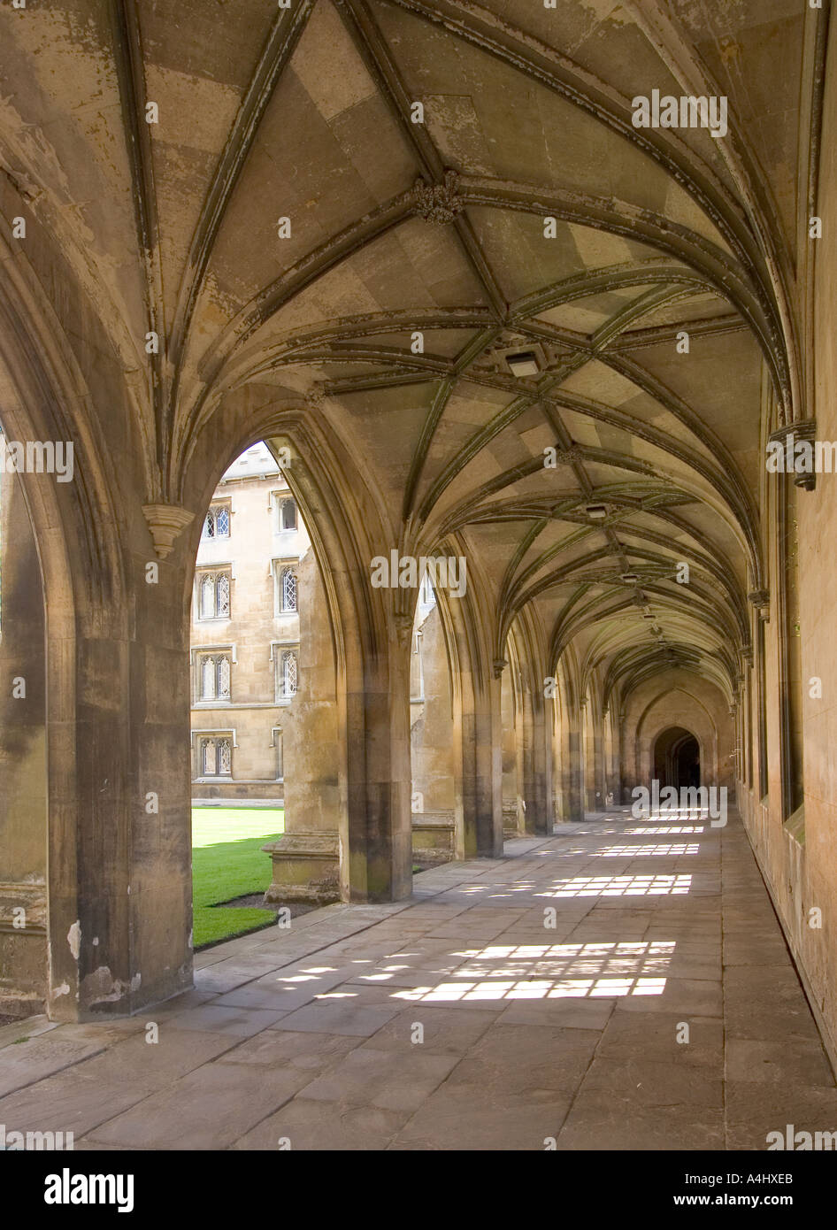 Cloisters of new court hi-res stock photography and images - Alamy
