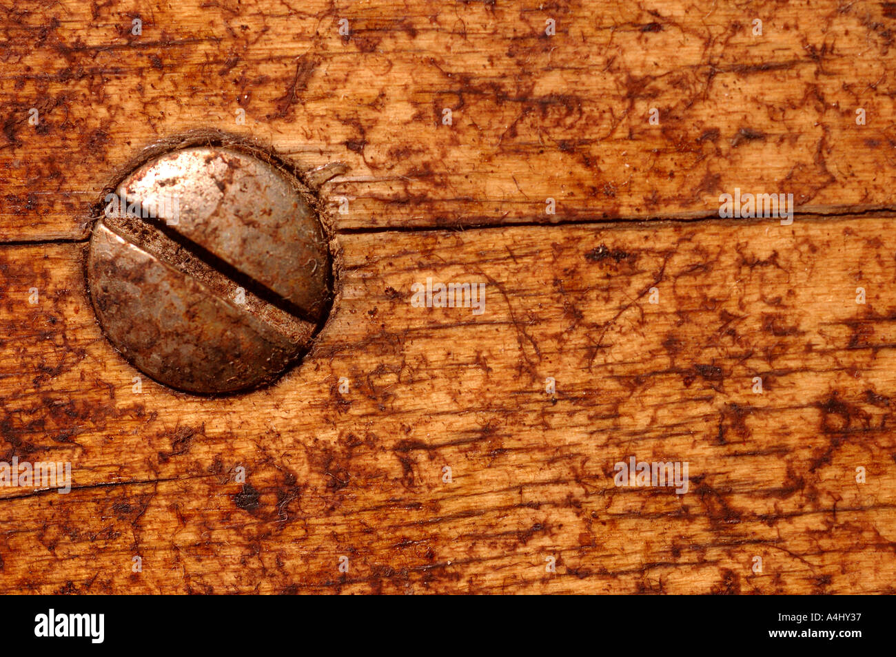 wood saw craft saw cutting tool tool wood work screw handel antique ...