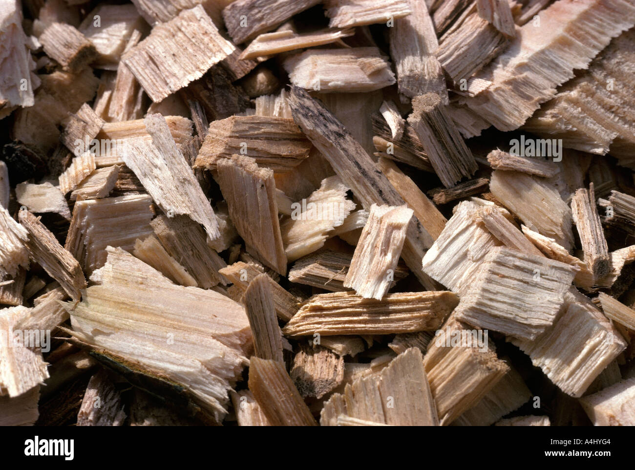 Wood Chips Pulp Stock Photos & Wood Chips Pulp Stock Images - Alamy