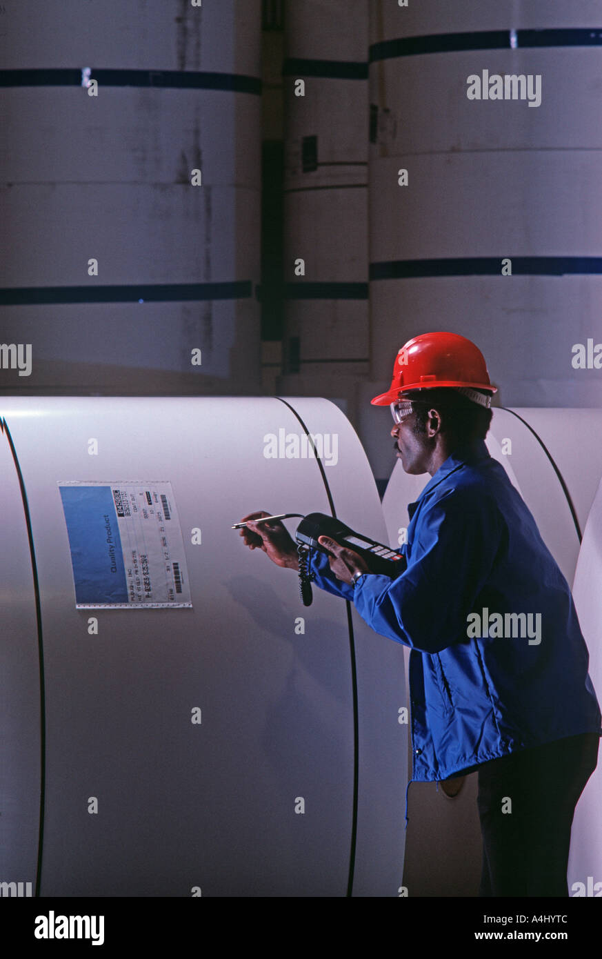 Male warehouse worker checking specifications on rolls of paper Stock ...