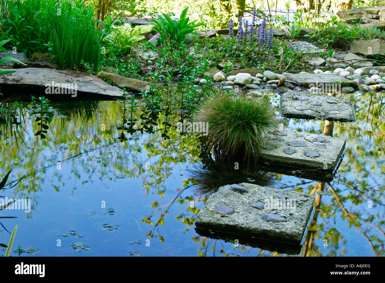POND WITH STEPPING STONES Stock Photo - Alamy