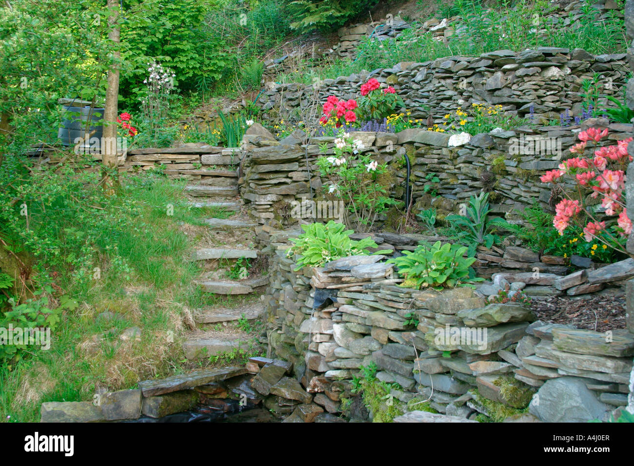 POND WITH TERRACES Stock Photo - Alamy