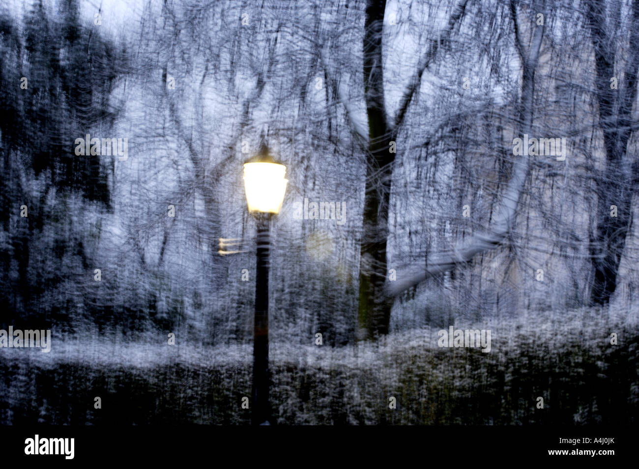 Eerie Street Light, Regents Park, London, UK Stock Photo - Alamy