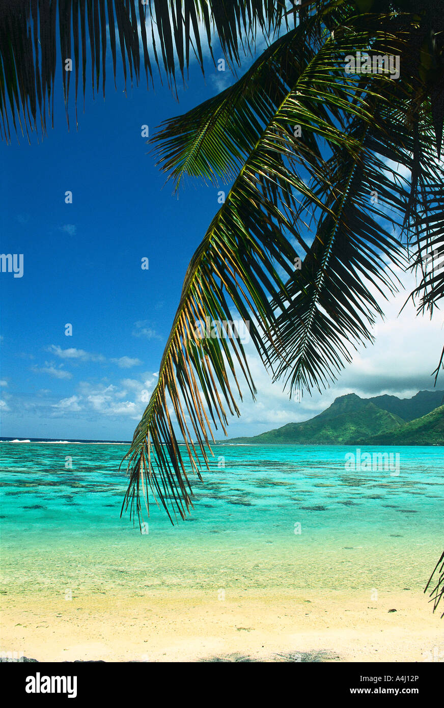 Tahiti beach, france hi-res stock photography and images - Alamy