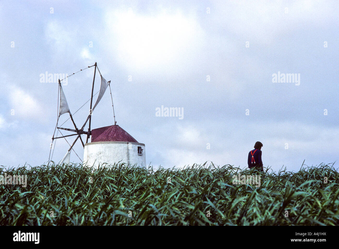 Windmill, Corn and Farmer, Countryside, Portugal Stock Photo - Alamy