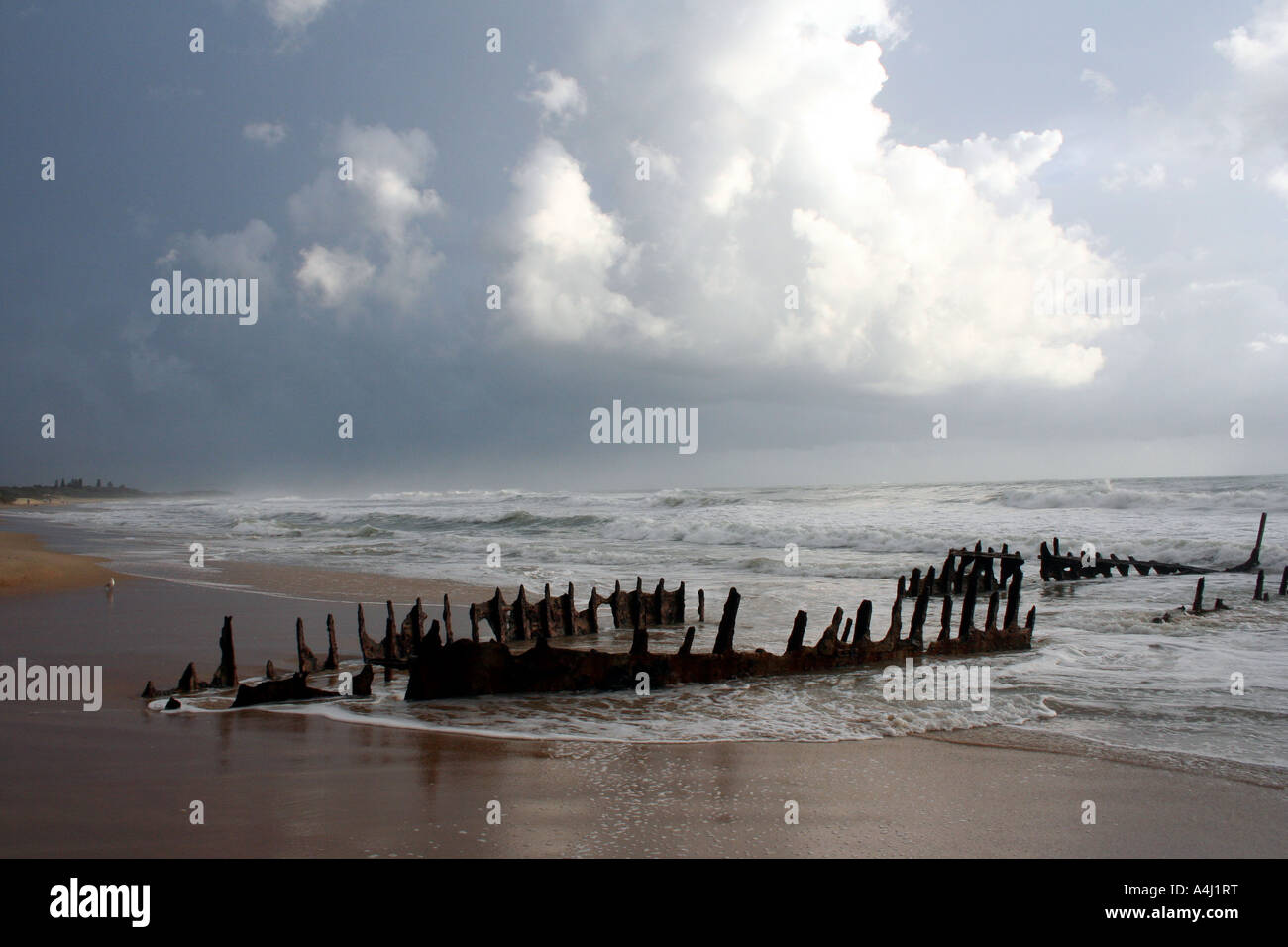 WRECK OF THE SS DICKY UNDER STORMY SKIES HORIZONTAL BAPDA10004 Stock ...