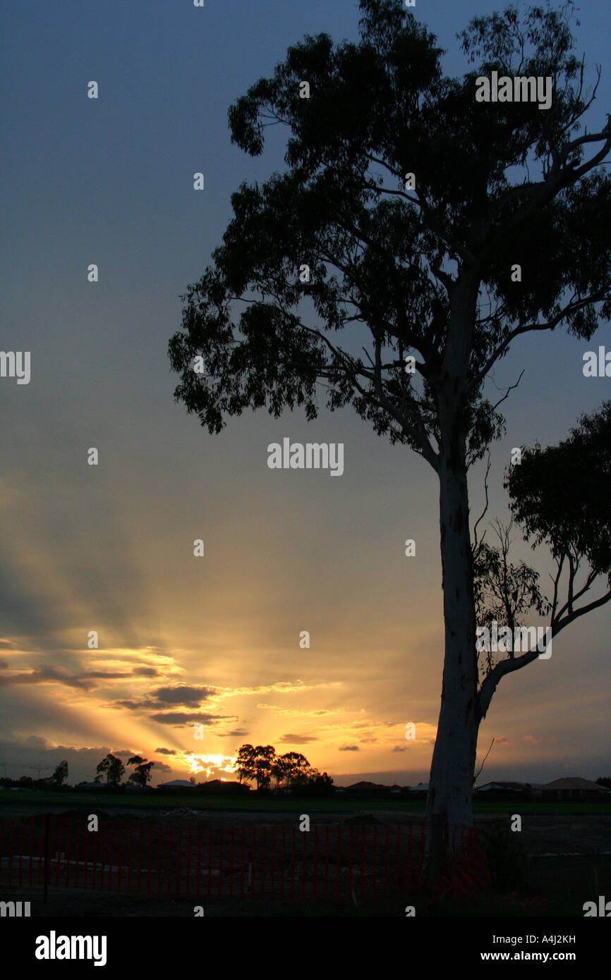 SPECTACULAR SUNSET OVER CALOUNDRA QUEENSLAND AUSTRALIA VERTICAL ...