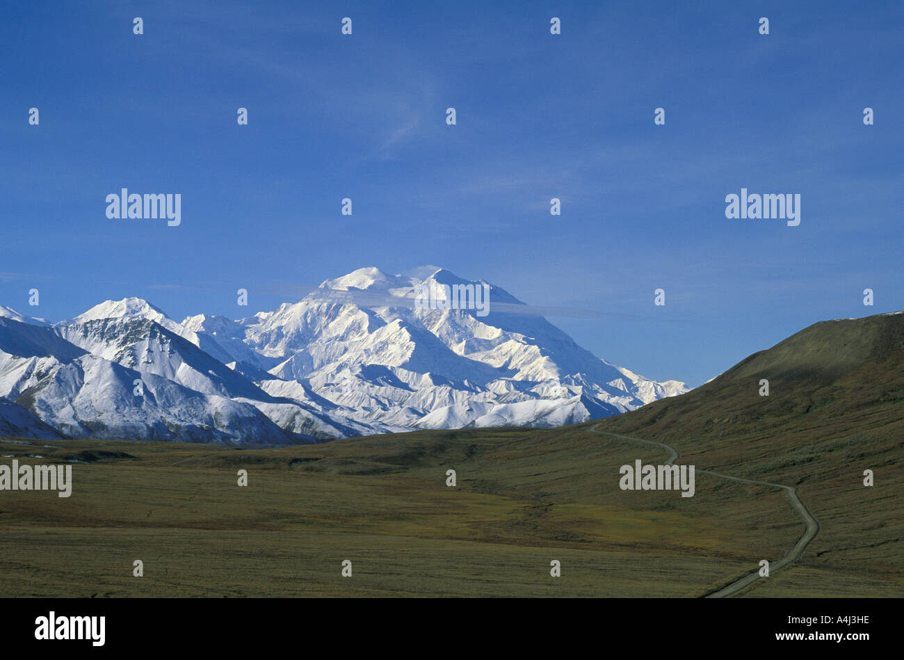 Mt denali clear sky hi-res stock photography and images - Alamy