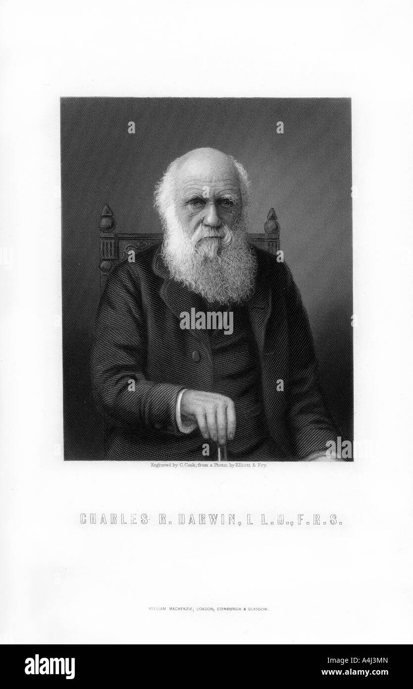 Charles Darwin, British naturalist, (1899).Artist: C Cook Stock Photo ...