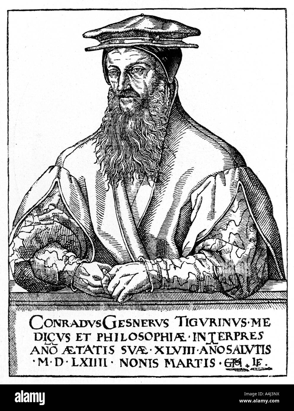 Conrad Gessner, Swiss naturalist, 1887. Artist: Unknown Stock Photo - Alamy