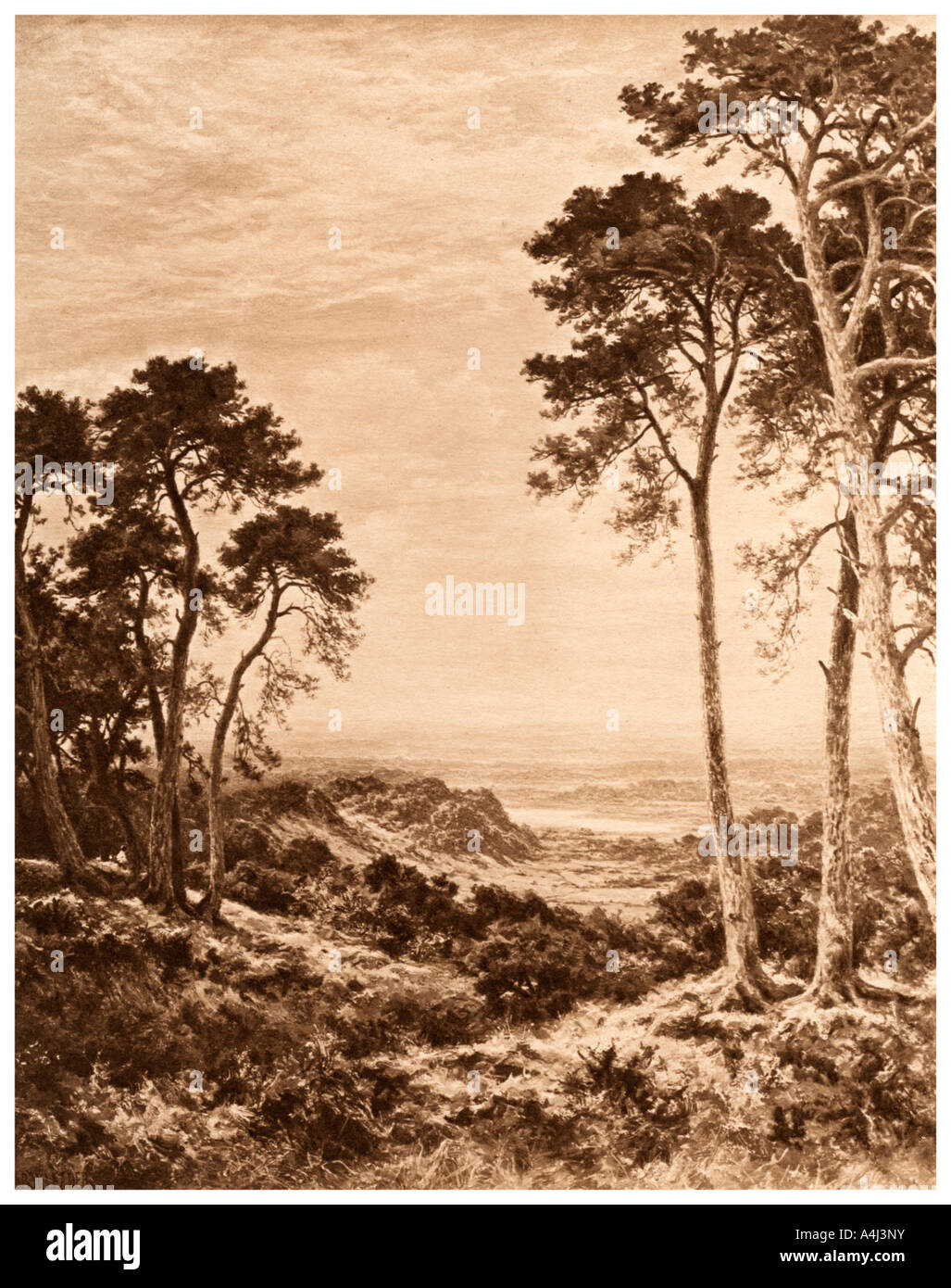 Benjamin williams leader hi-res stock photography and images - Alamy