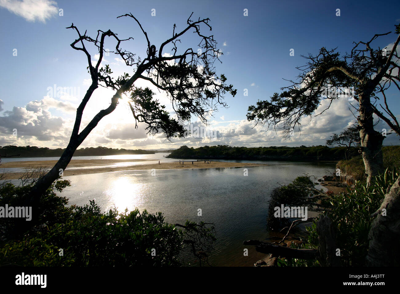 TREES CLOUDS AND WATER CALOUNDRA QUEENSLAND AUSTRALIA HORIZONTAL ...