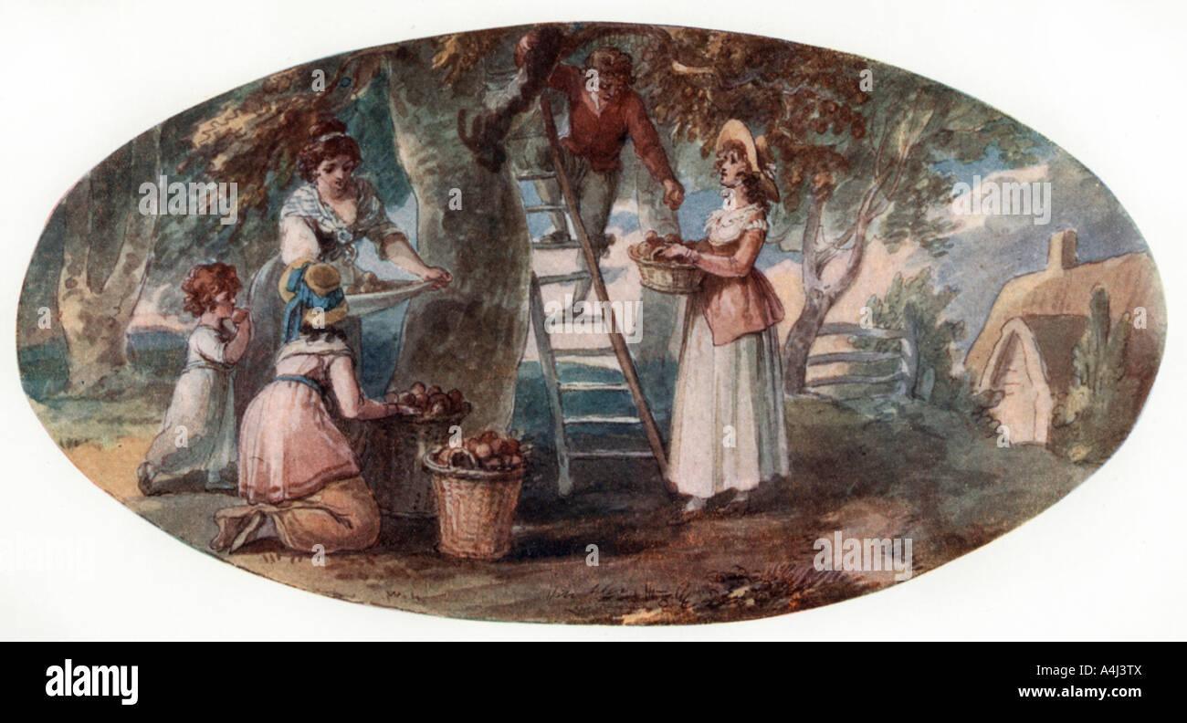 Guy hamilton ladder hi-res stock photography and images - Alamy