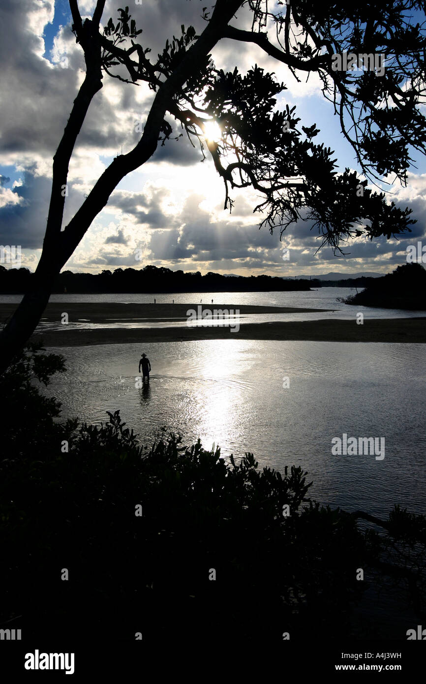TREES CLOUDS AND WATER CALOUNDRA QUEENSLAND AUSTRALIA VERTICAL ...