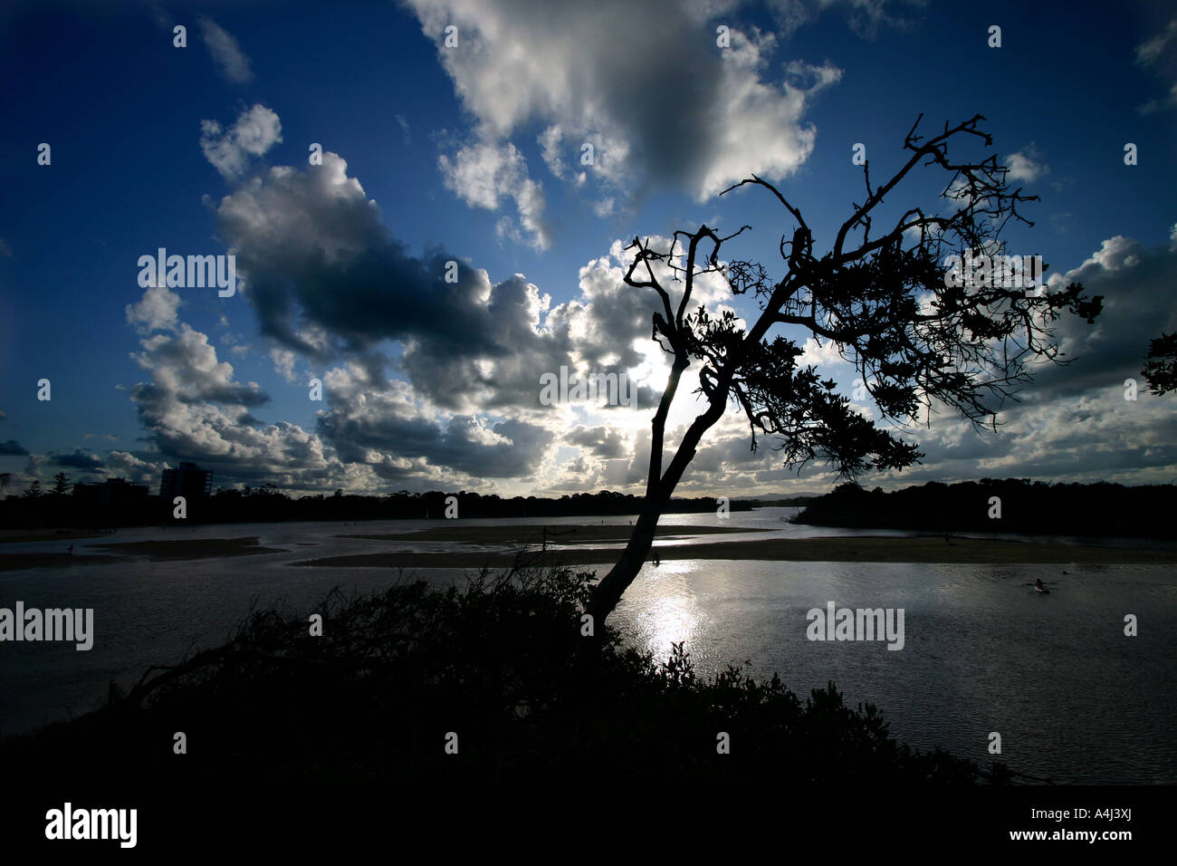 TREES CLOUDS AND WATER CALOUNDRA QUEENSLAND AUSTRALIA HORIZONTAL ...