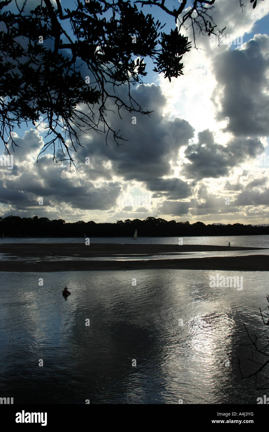 TREES CLOUDS AND WATER CALOUNDRA QUEENSLAND AUSTRALIA VERTICAL ...