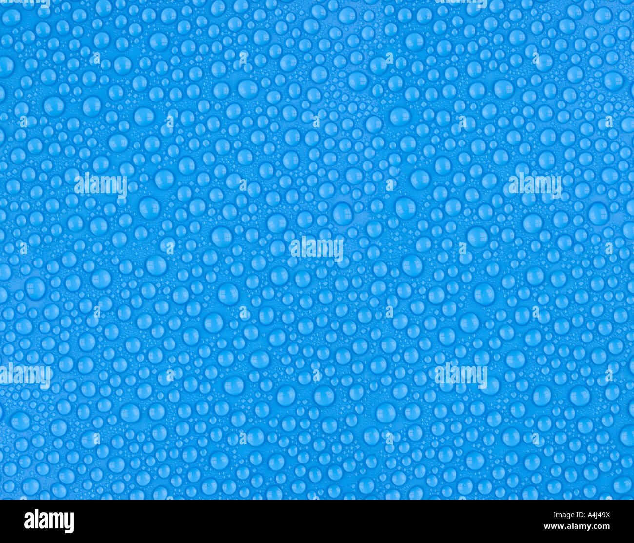 many small blue water drops accumulated on a surface Stock Photo - Alamy