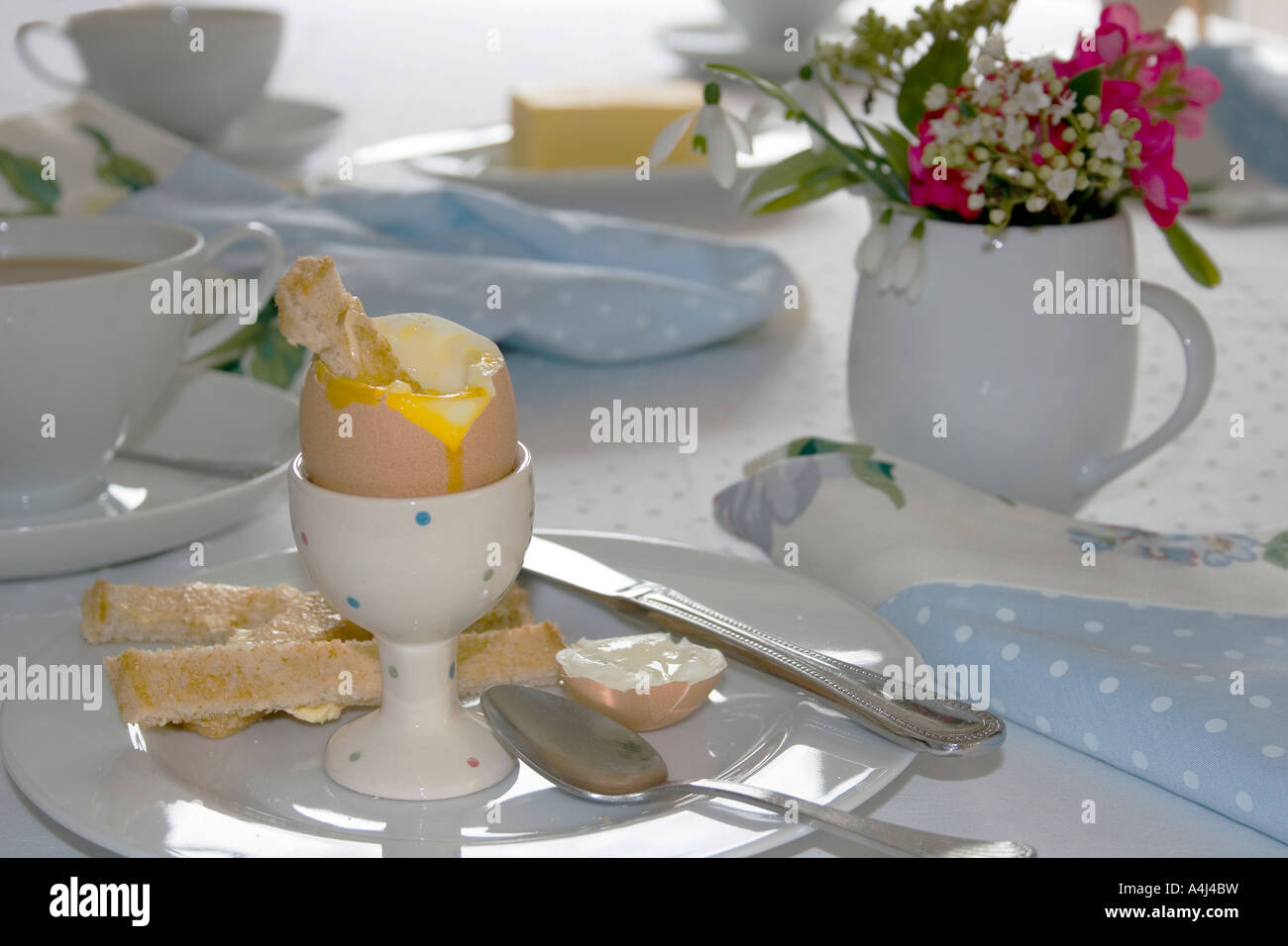 Breakfast of Boiled egg and toast soldiers Stock Photo - Alamy