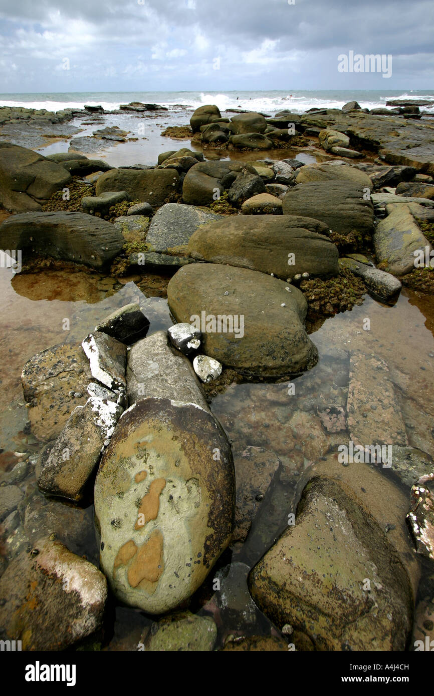 ROCKS ON SEASHORE VERTICAL BAPDB9899 Stock Photo - Alamy