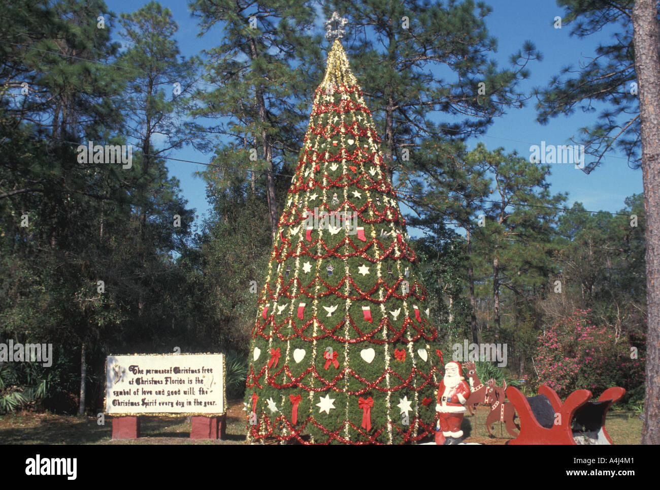 Town christmas florida tree hi-res stock photography and images - Alamy