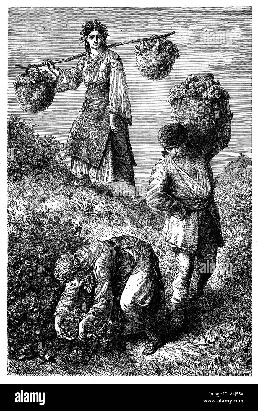 Roses guy Black and White Stock Photos & Images - Alamy