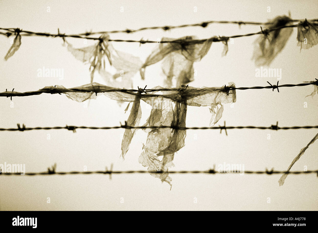 Teared apart hi-res stock photography and images - Alamy