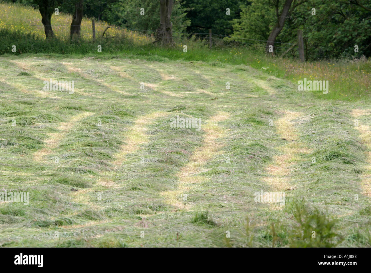 England grass field hi-res stock photography and images - Alamy