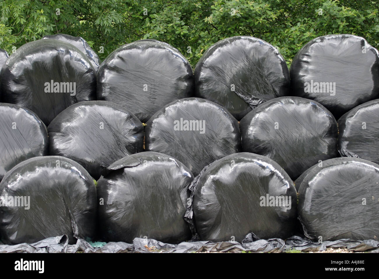 Silage bag hi-res stock photography and images - Alamy