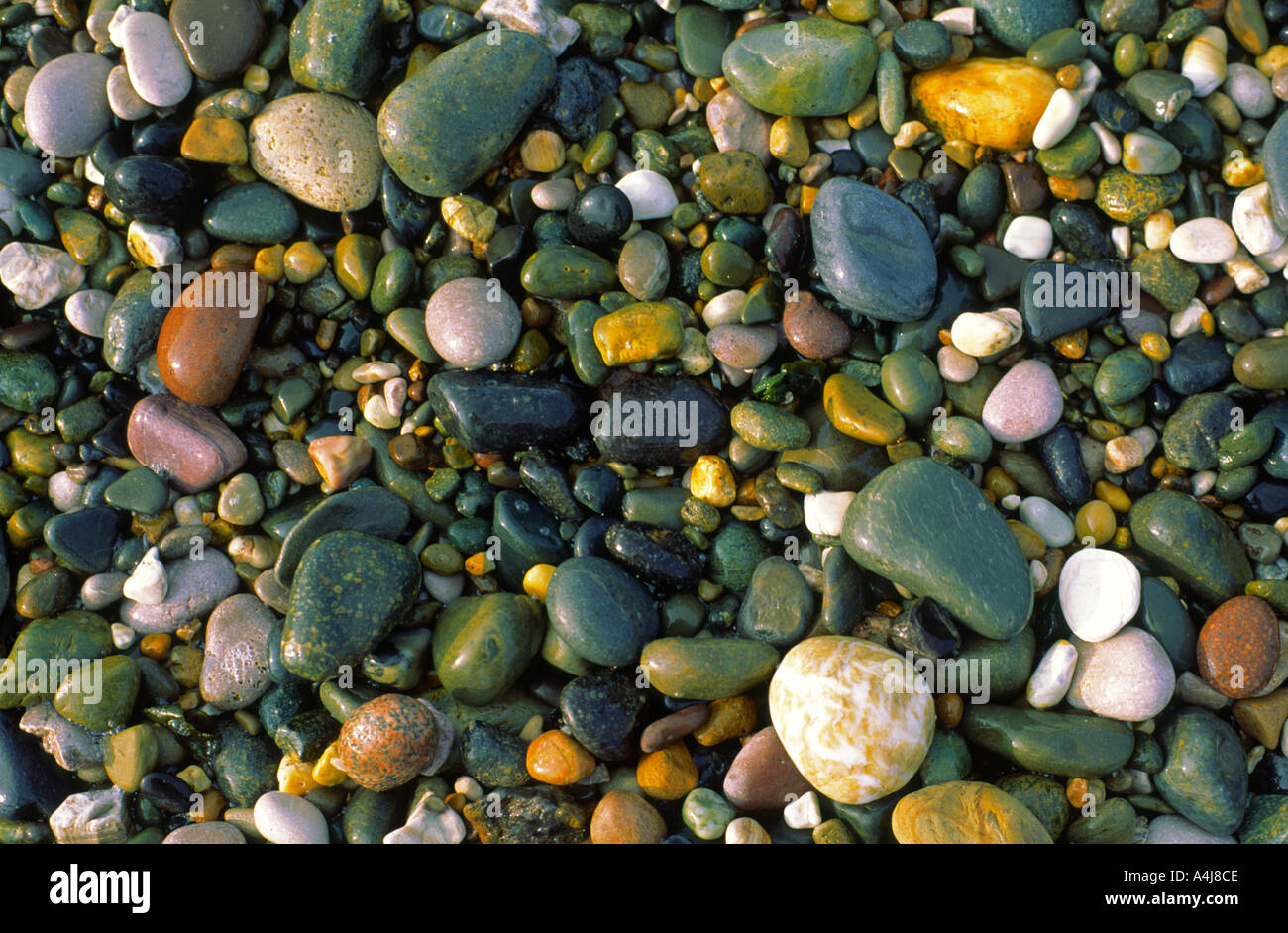 Pebbles on a beach Stock Photo - Alamy