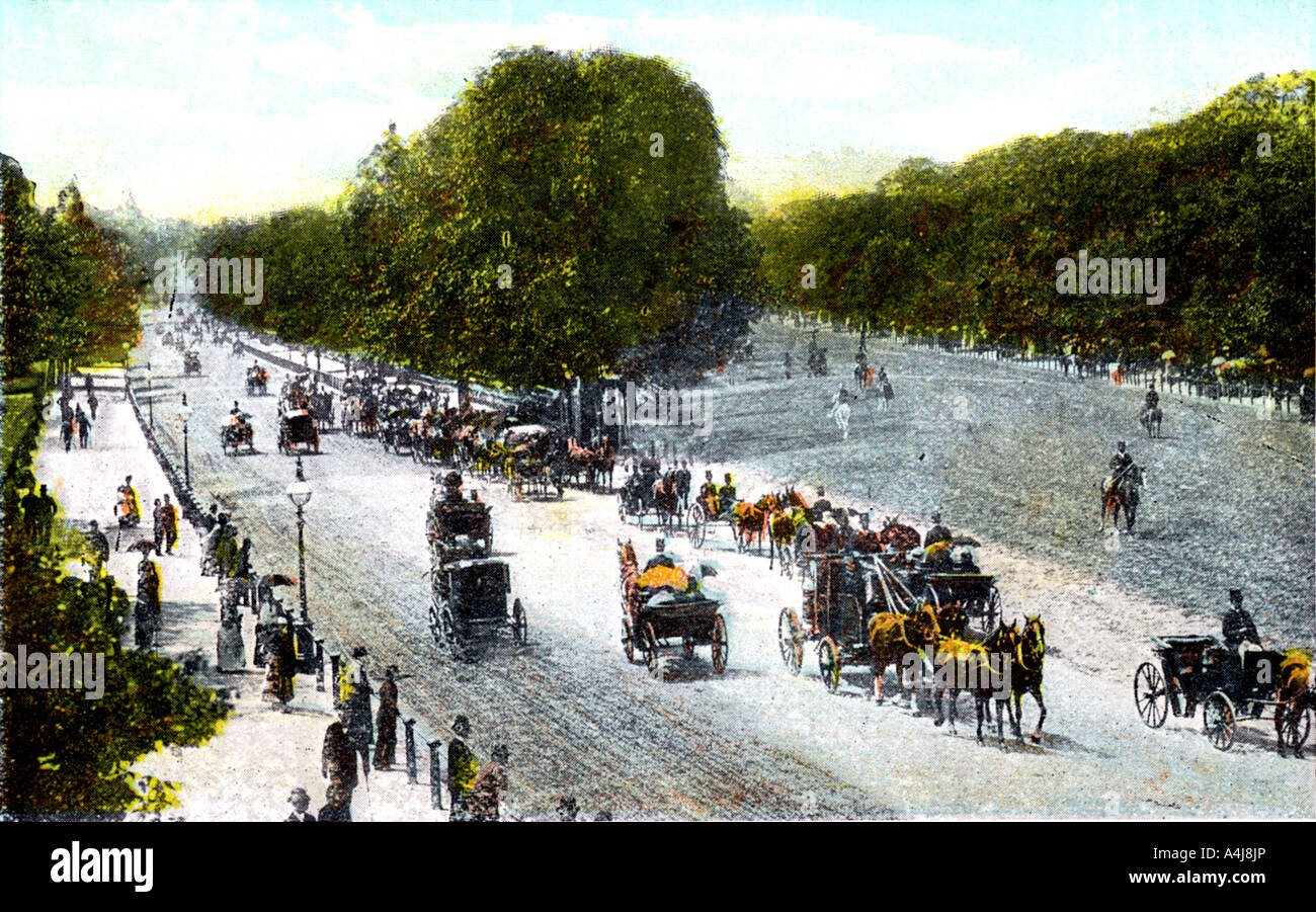 Rotten Row, Hyde Park, London, 20th Century. Artist: Unknown Stock ...