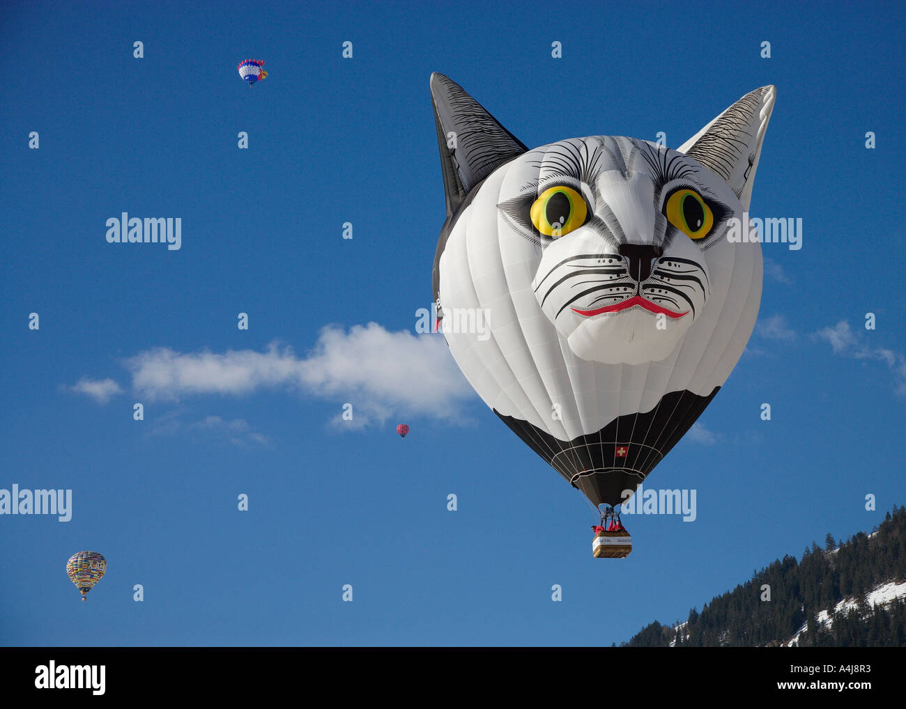 Flying cat, hot air balloon over western Switzerland Stock Photo - Alamy