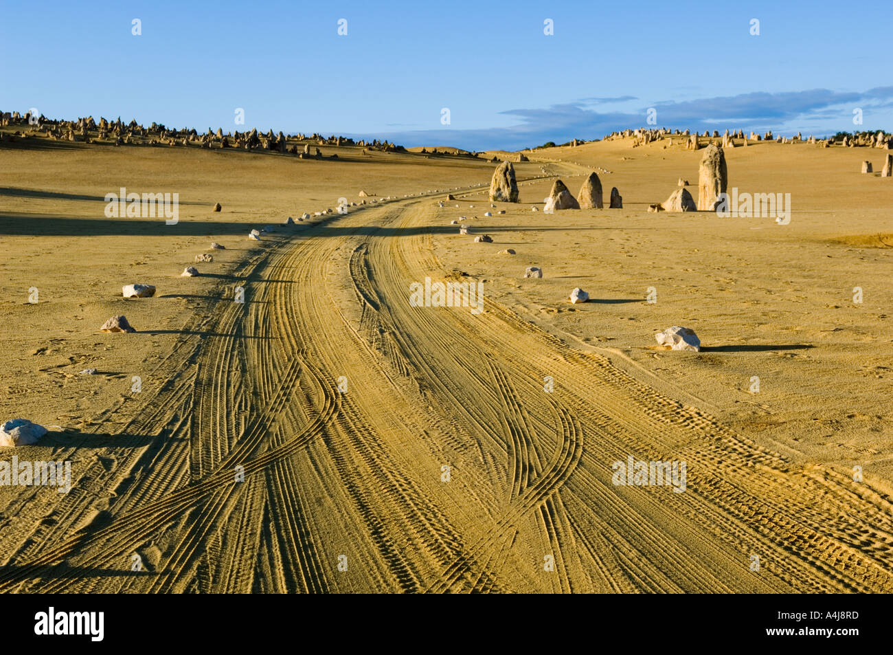 Pinnacle desert WA lone road Stock Photo - Alamy