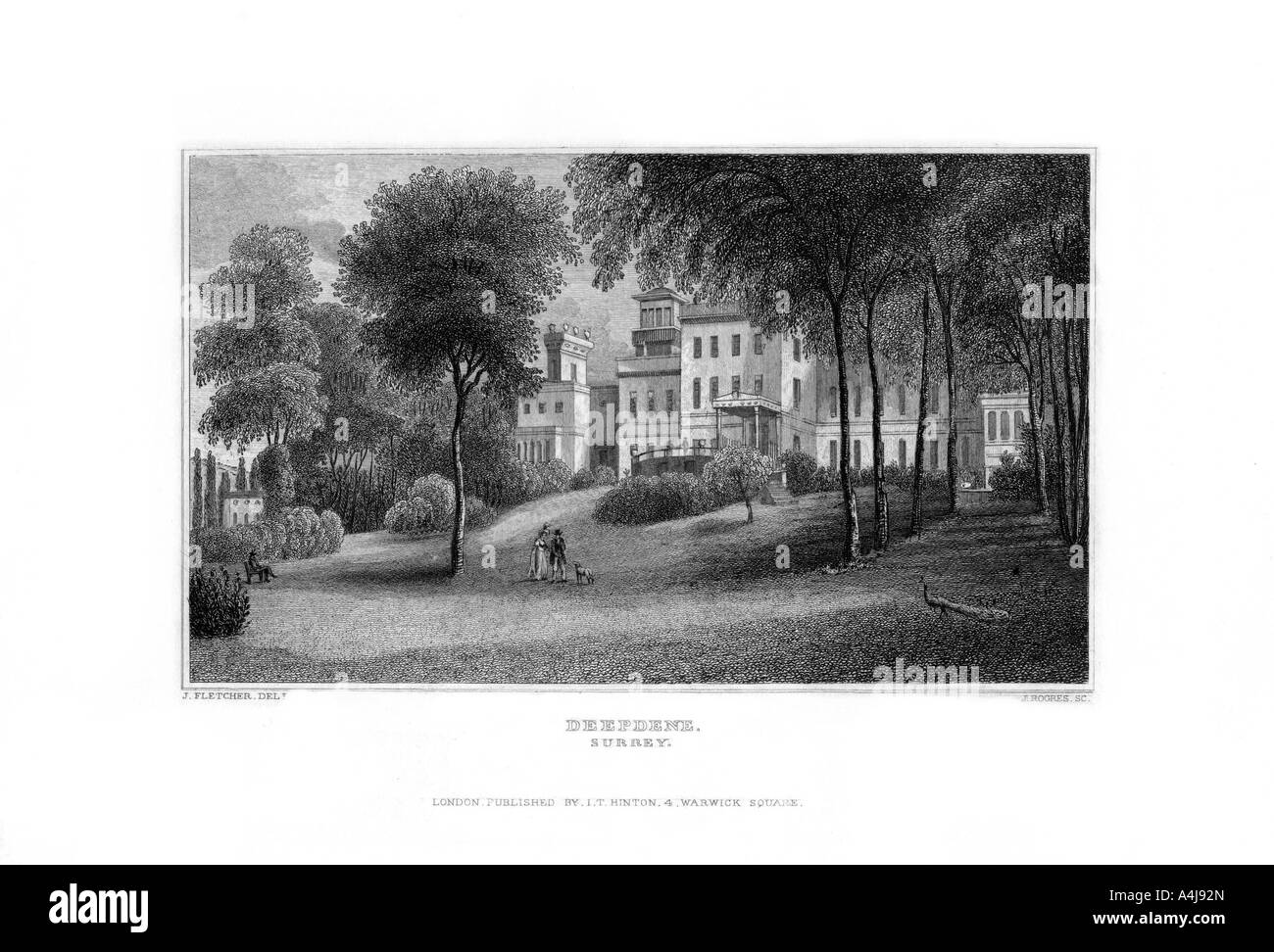 Deepdene hi-res stock photography and images - Alamy