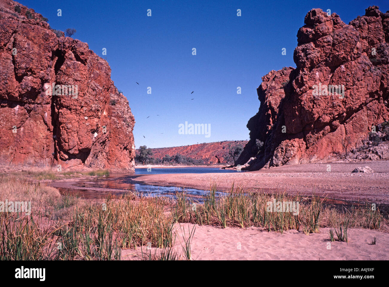 Finke river hi-res stock photography and images - Alamy