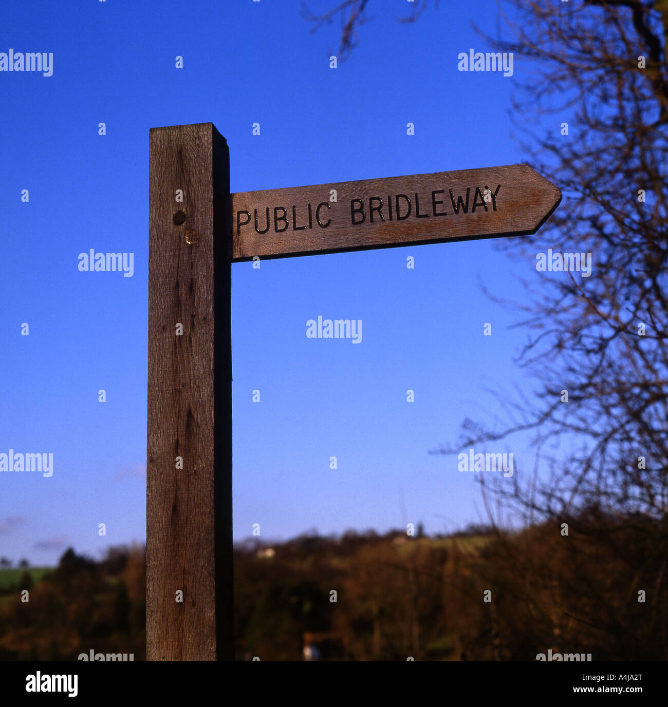 Banstead woods hi-res stock photography and images - Alamy