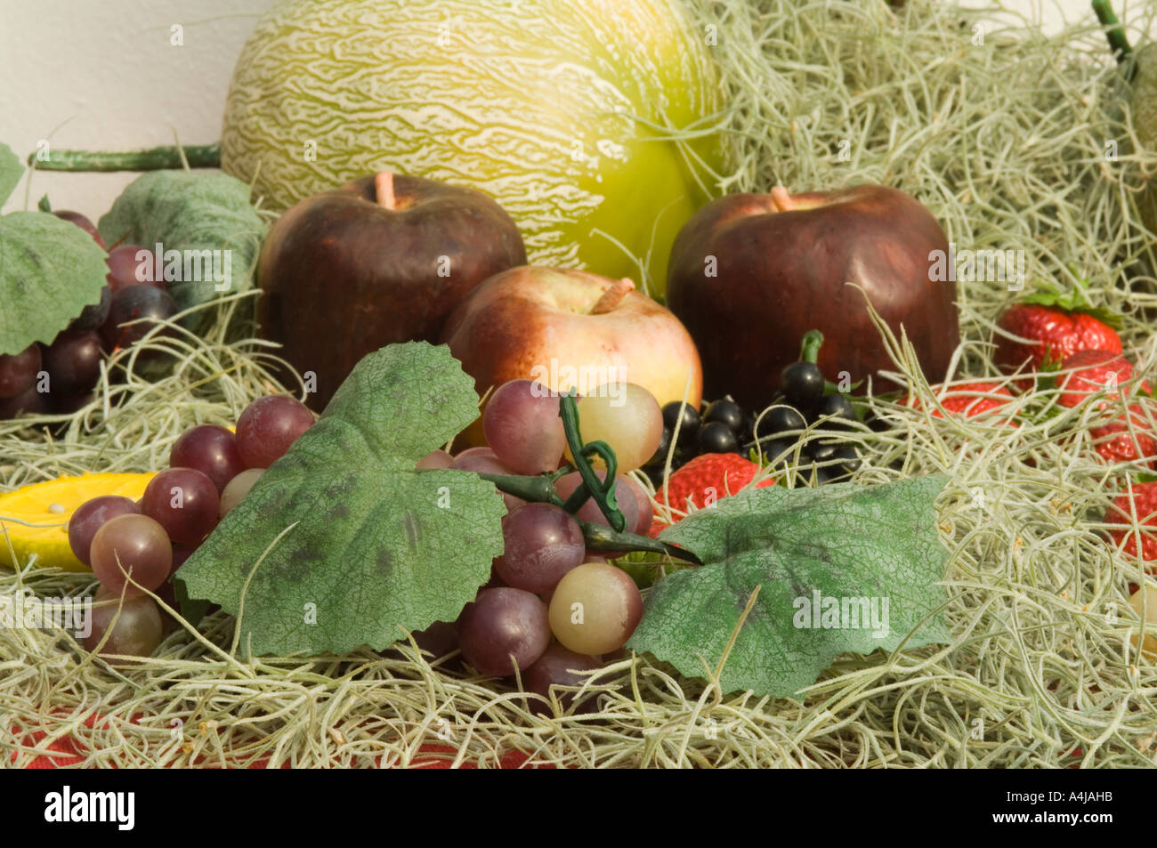 Fruit arrangement in Orchid Garden, Jardim Orquidea, Funchal, Madeira ...