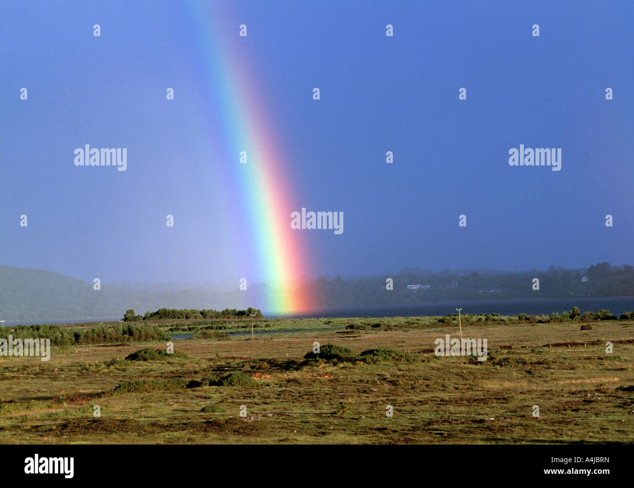 ireland county kerry wide wild space of bog land with a colorful ...
