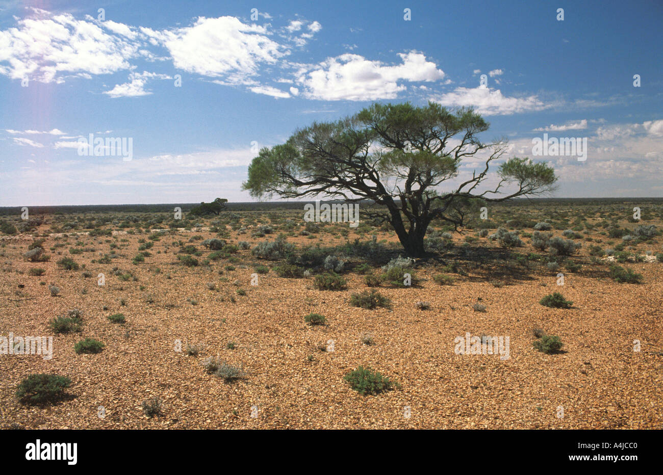 Australian gibber desert hi-res stock photography and images - Alamy