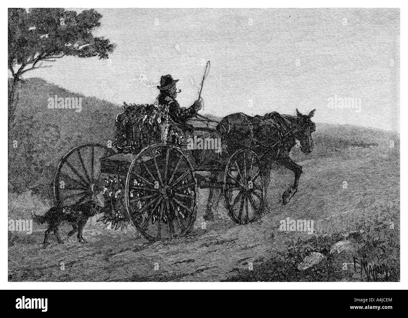 Rabbit guy Black and White Stock Photos & Images - Alamy