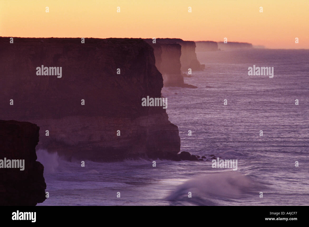 Bunda cliffs at sunrise eroded limestone coast Great Australian Bight ...