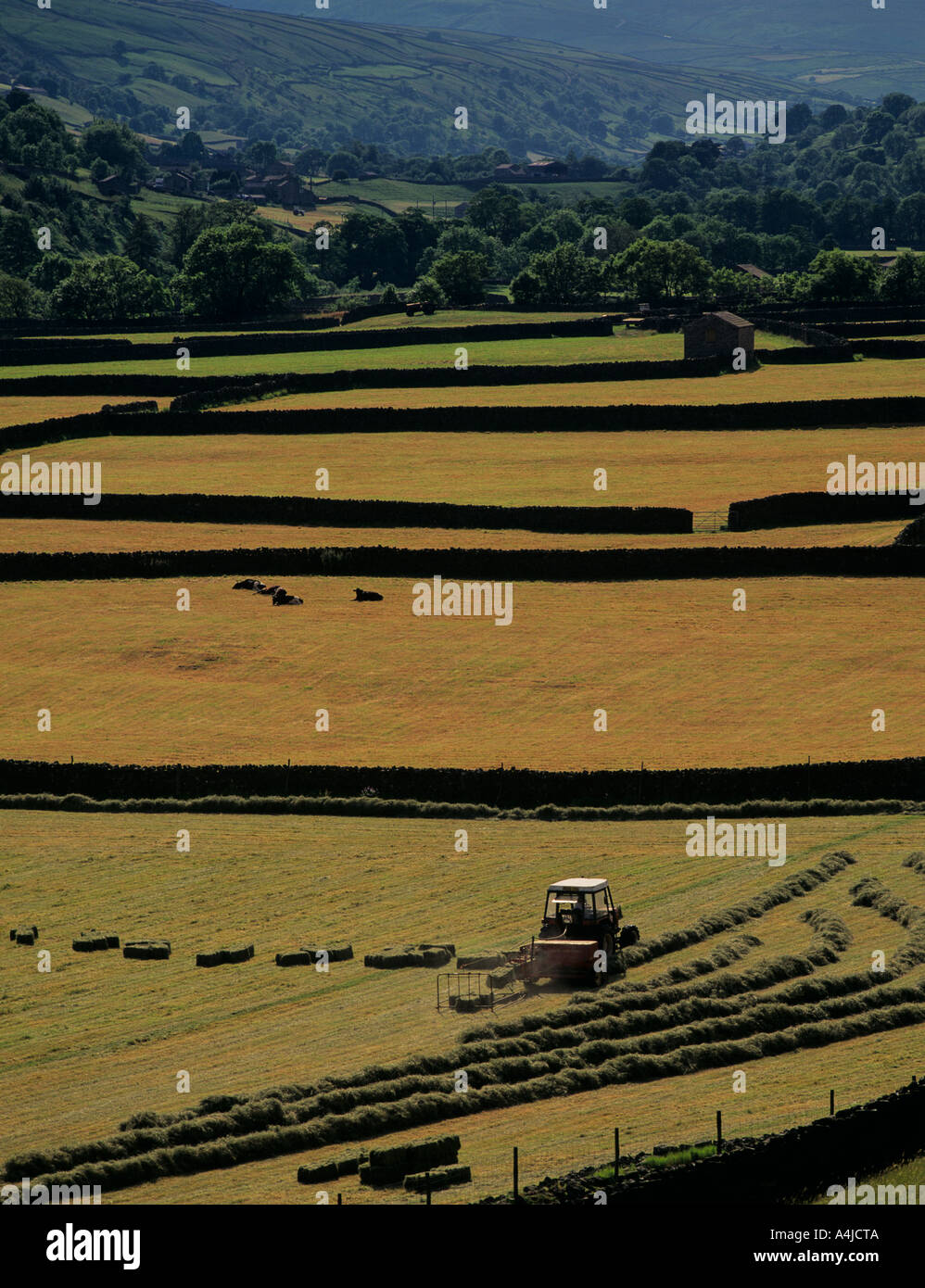 Hay making near Gunnerside,Swaledale,Yorkshire Dales,England Stock ...