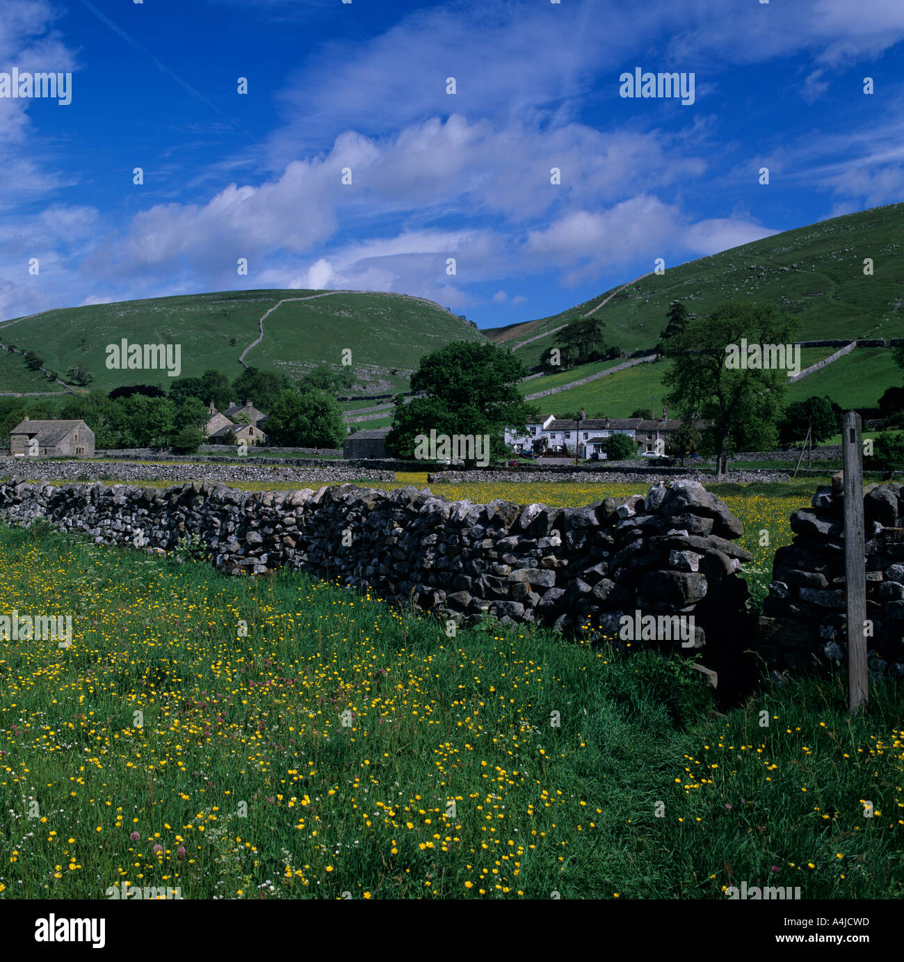 Wildflower Meadows and the village of Litton,Littondale,Yorkshire Dales ...