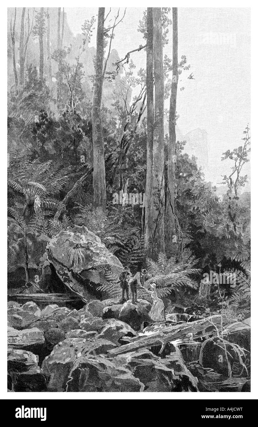 A gully in the Blue Mountains, Australia, 1886.Artist: Frederic B ...