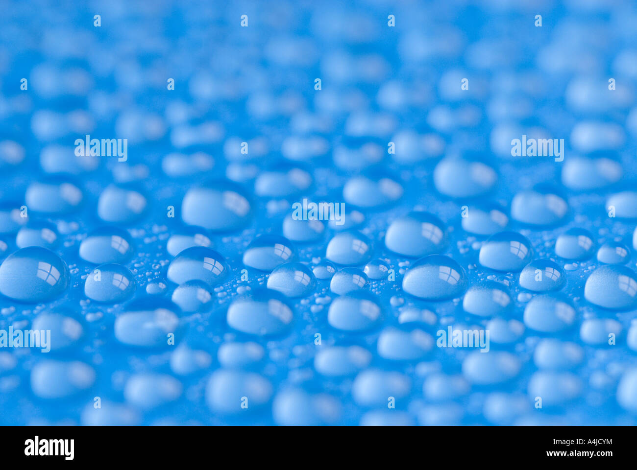 many small water drops accumulated on a surface Stock Photo - Alamy