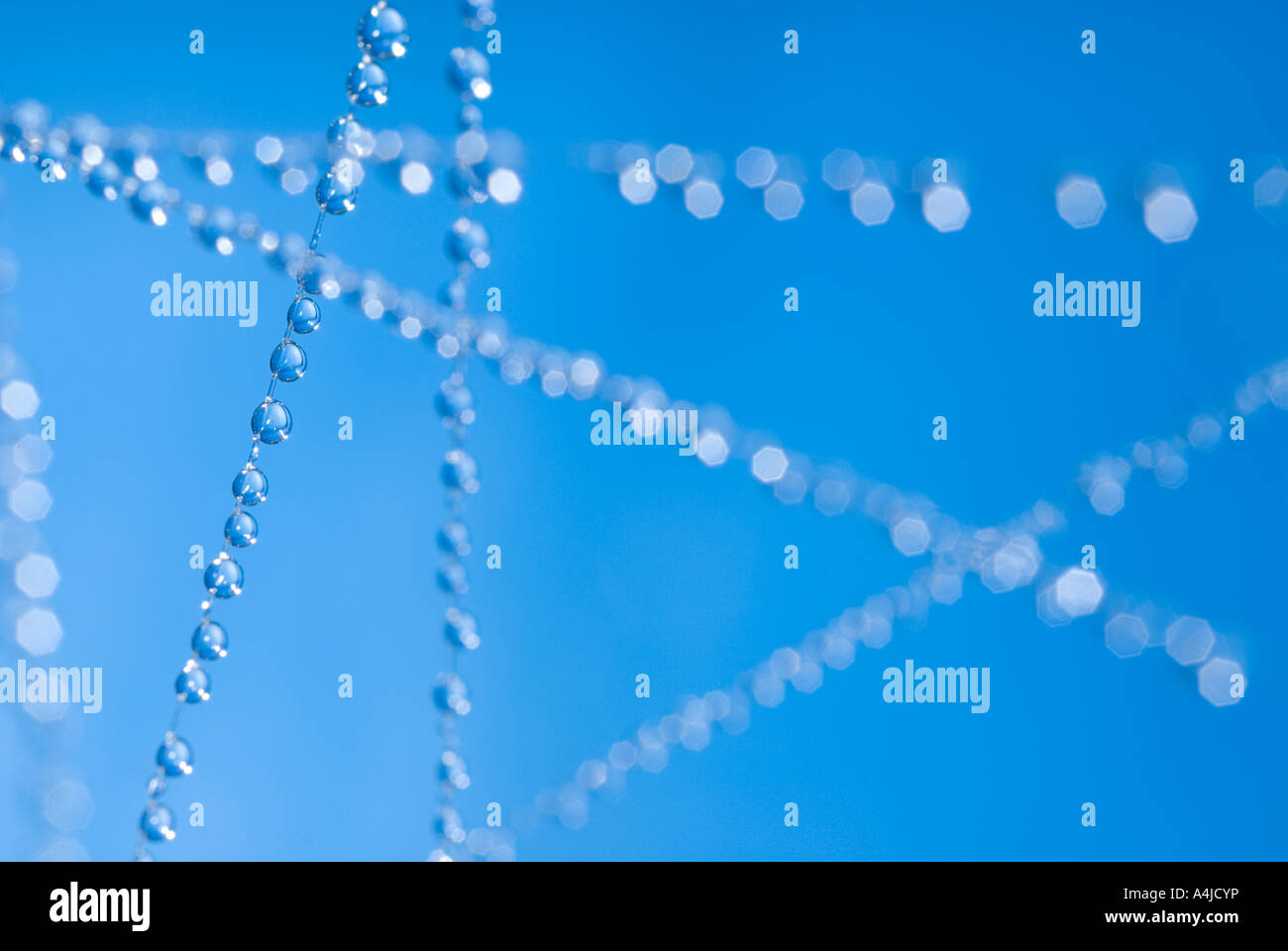 many small blue water drops hanging on a thin cord like small spheres ...