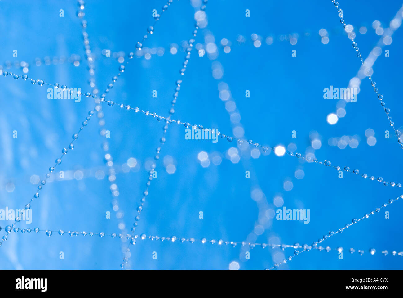 many small blue water drops hanging on a thin cord like small spheres ...