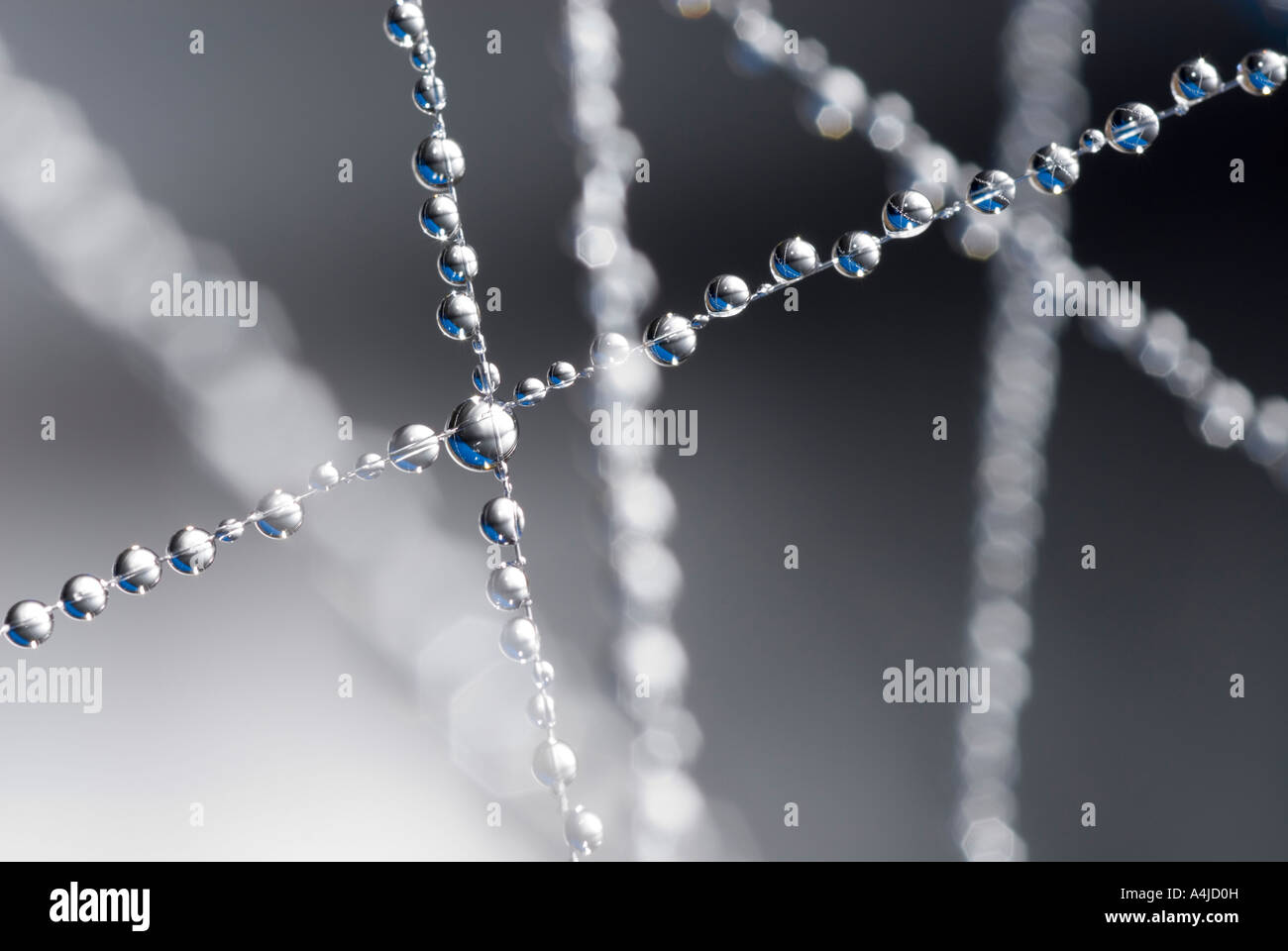 Spheres of water hi-res stock photography and images - Alamy