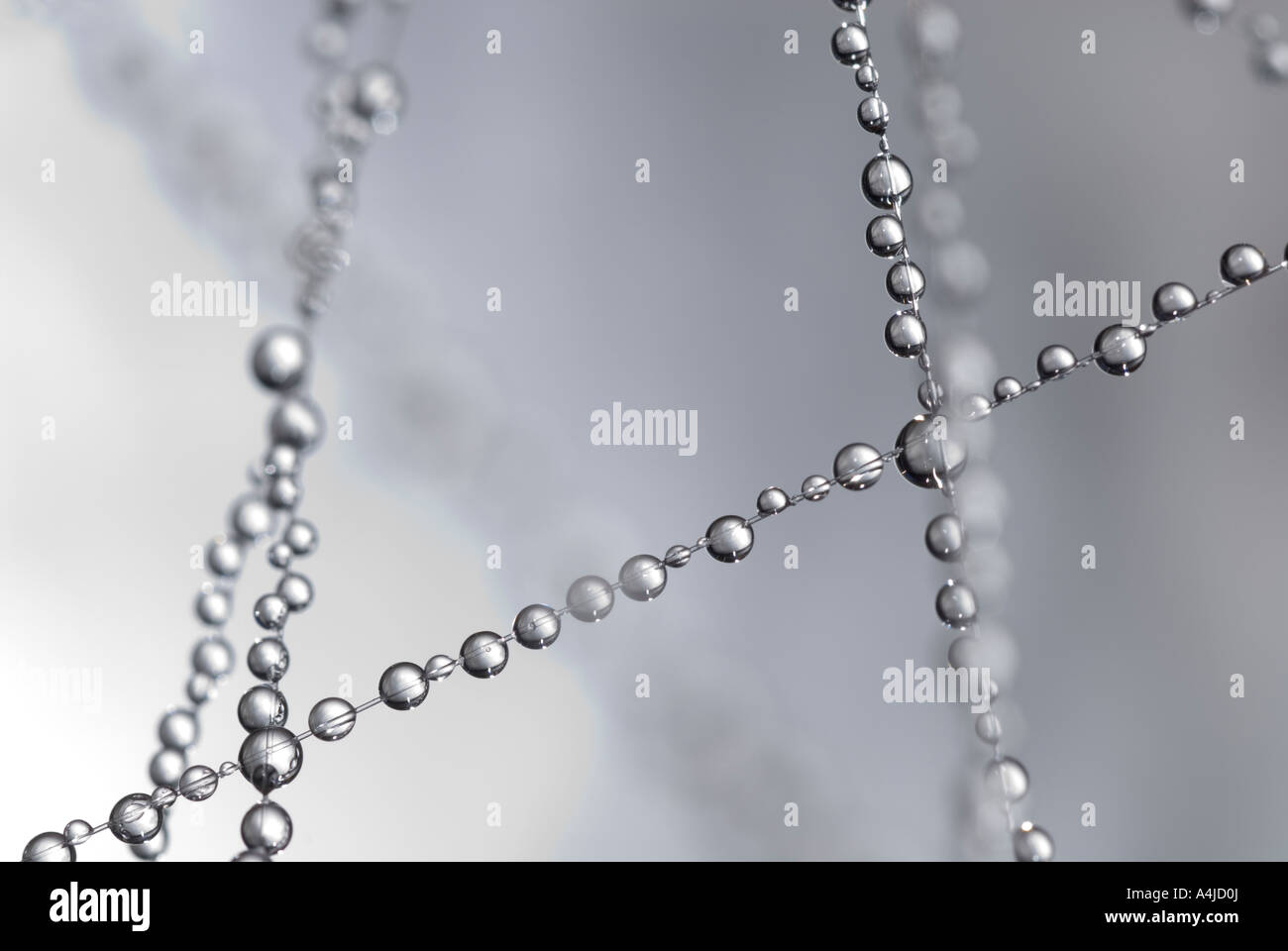many small water drops Stock Photo - Alamy